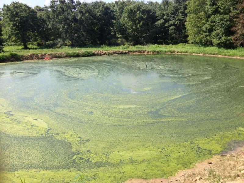 Maryland alternative fuel company growing, moving to Owings Mills | St ...